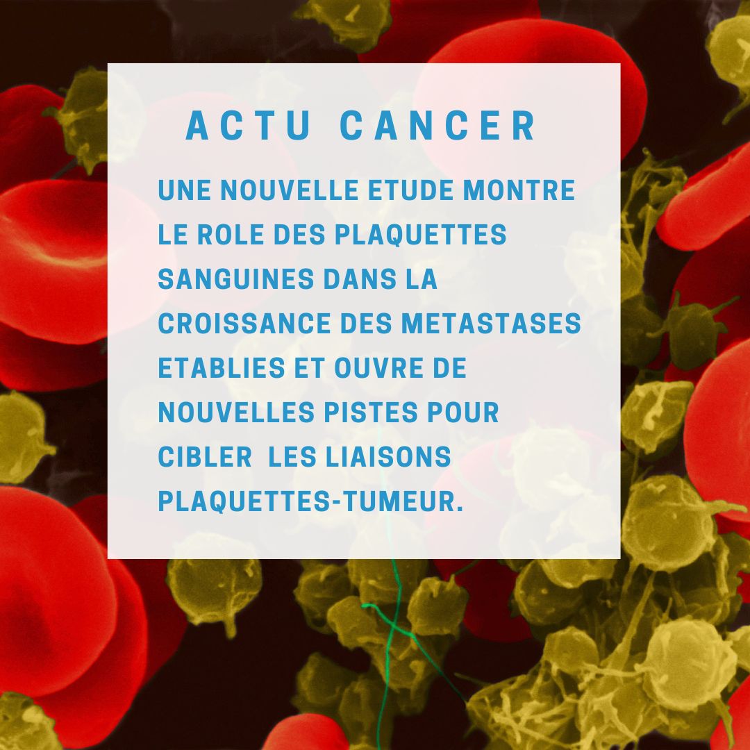 [Actu Santé] le rôle des plaquettes sanguines dans la croissance des ...